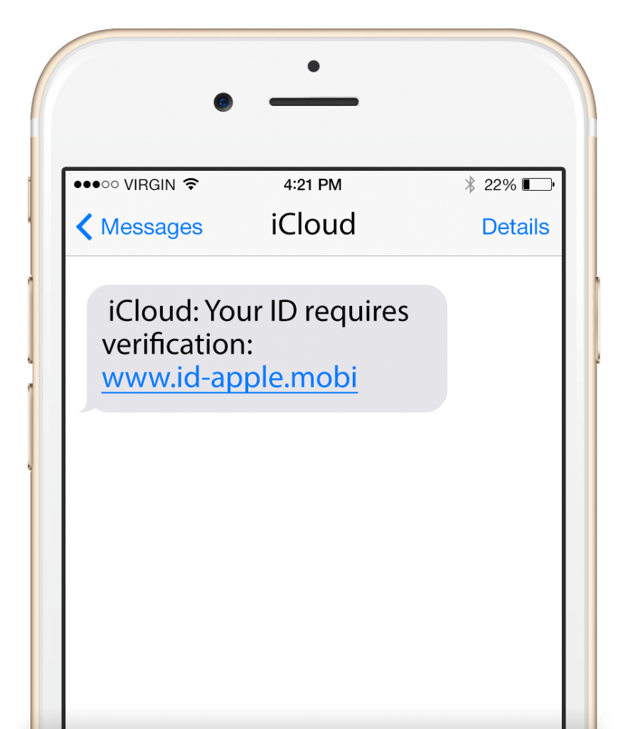 Smishing Explained: Protecting Yourself from SMS Phishing Scams
